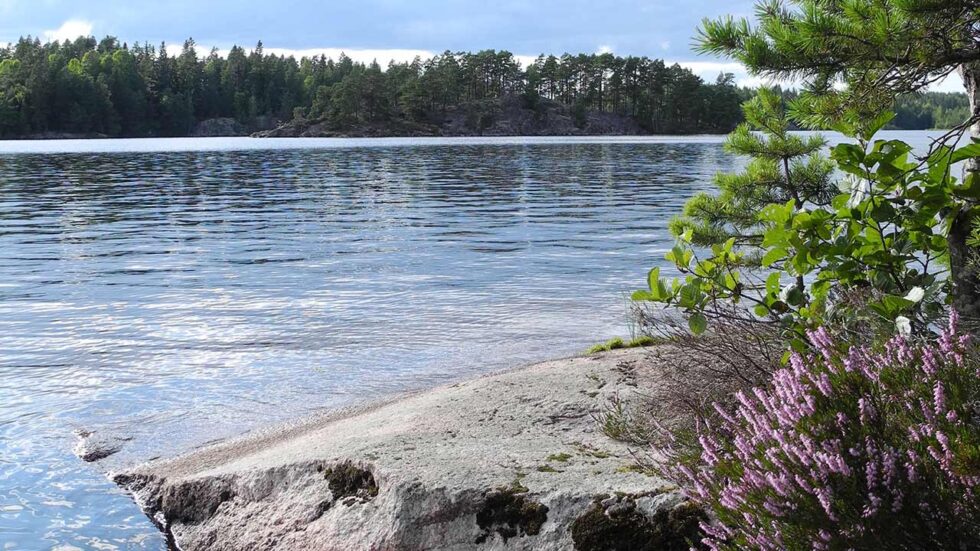 Hem - Ångfartyget S/S Boxholm II